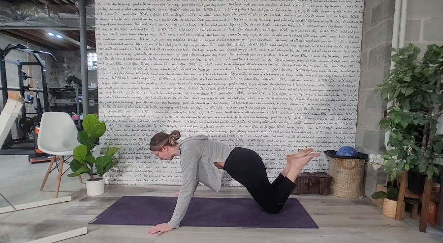 Push Up Challenge with Callie - Tuck Barre & Yoga